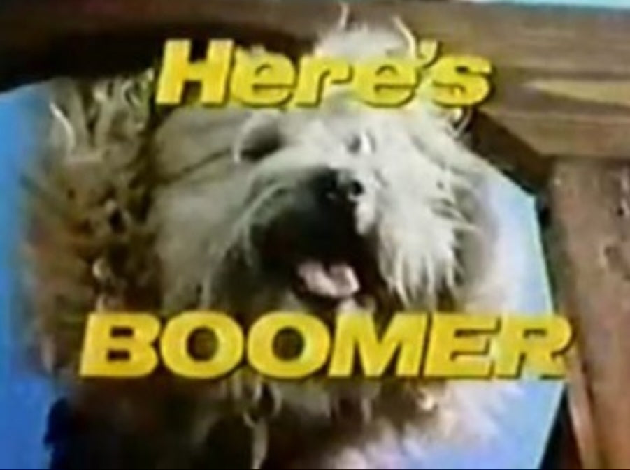 HERE'S BOOMER - THE COMPLETE SERIES (NBC 1979-1983) EXCELLENT QUALITY ...